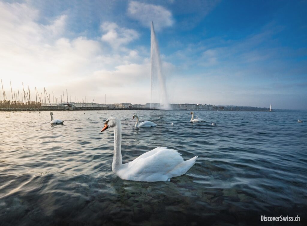 Lake Geneva: Switzerland’s Breathtaking Alpine Treasure