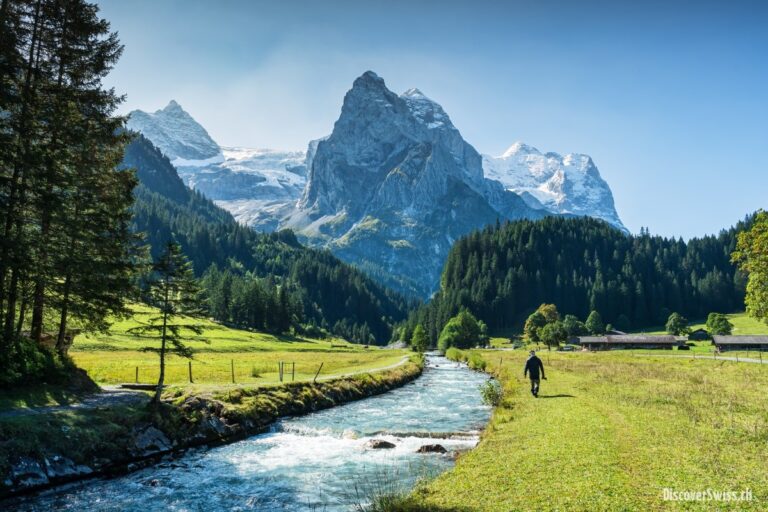 Exploring Switzerland’s Nature: Majestic Alps, Lakes, and Forests